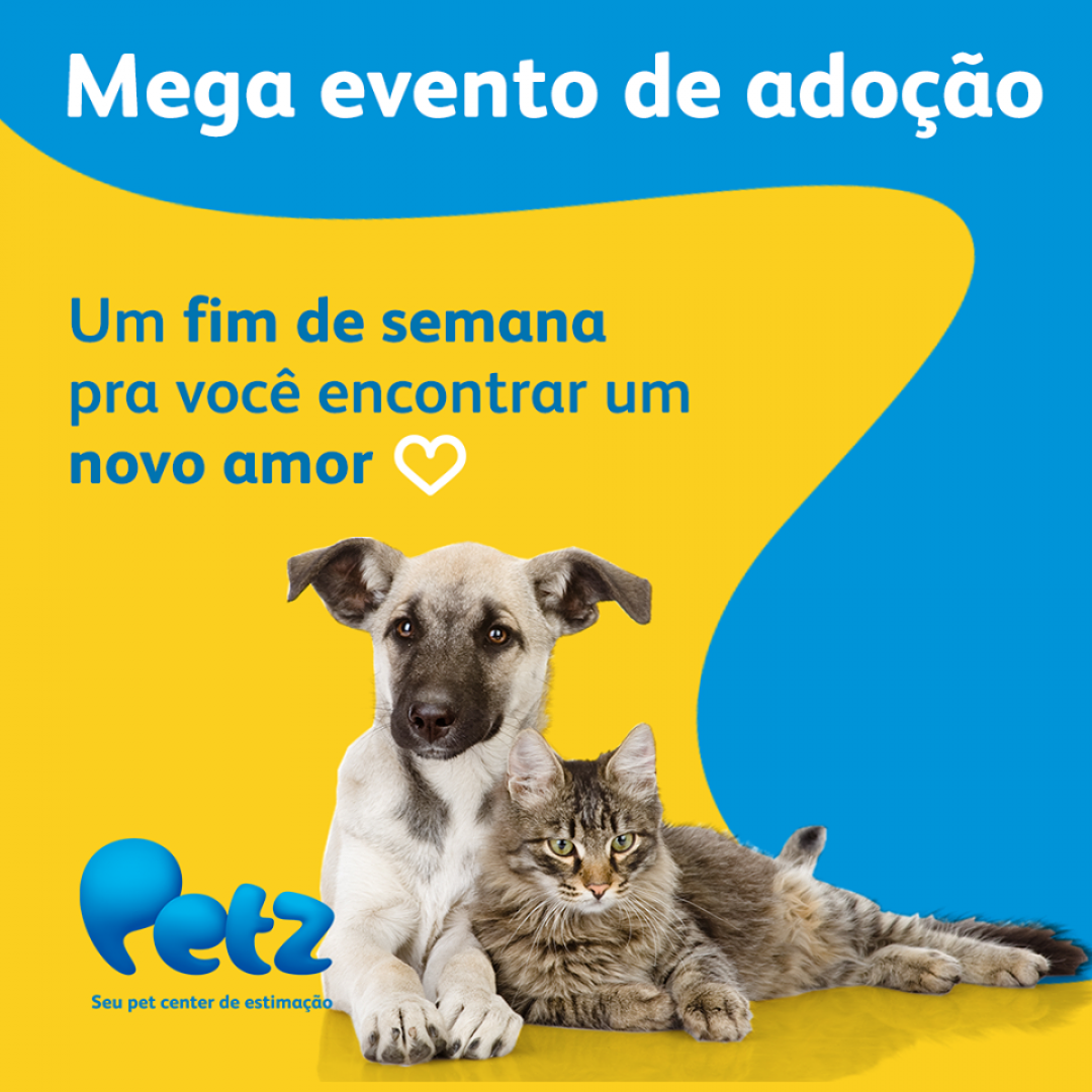 Petz promove megaevento de adoção em comemoração ao Dia Mundial dos ...